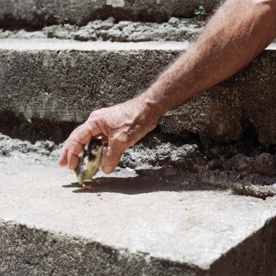 BPM’s Top 30 Big Thief songs – Beats Per Minute