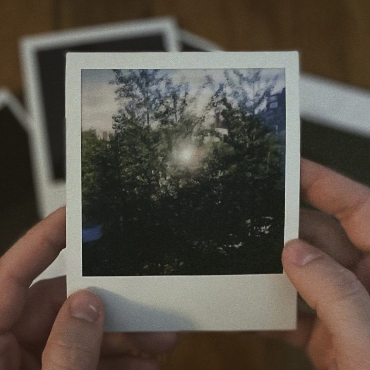 Album Review: Vines – Birthday Party – Beats Per Minute