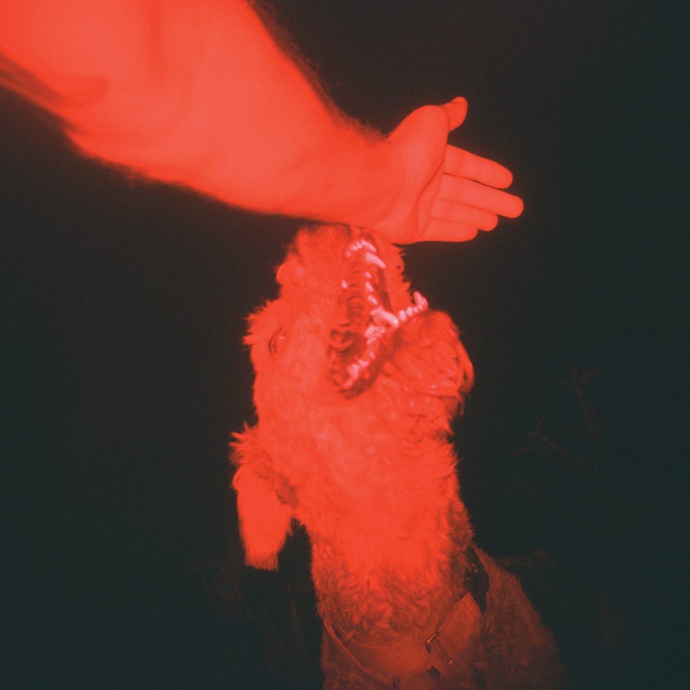 Album Review: Eli Winter – A Trick of the Light – Beats Per Minute